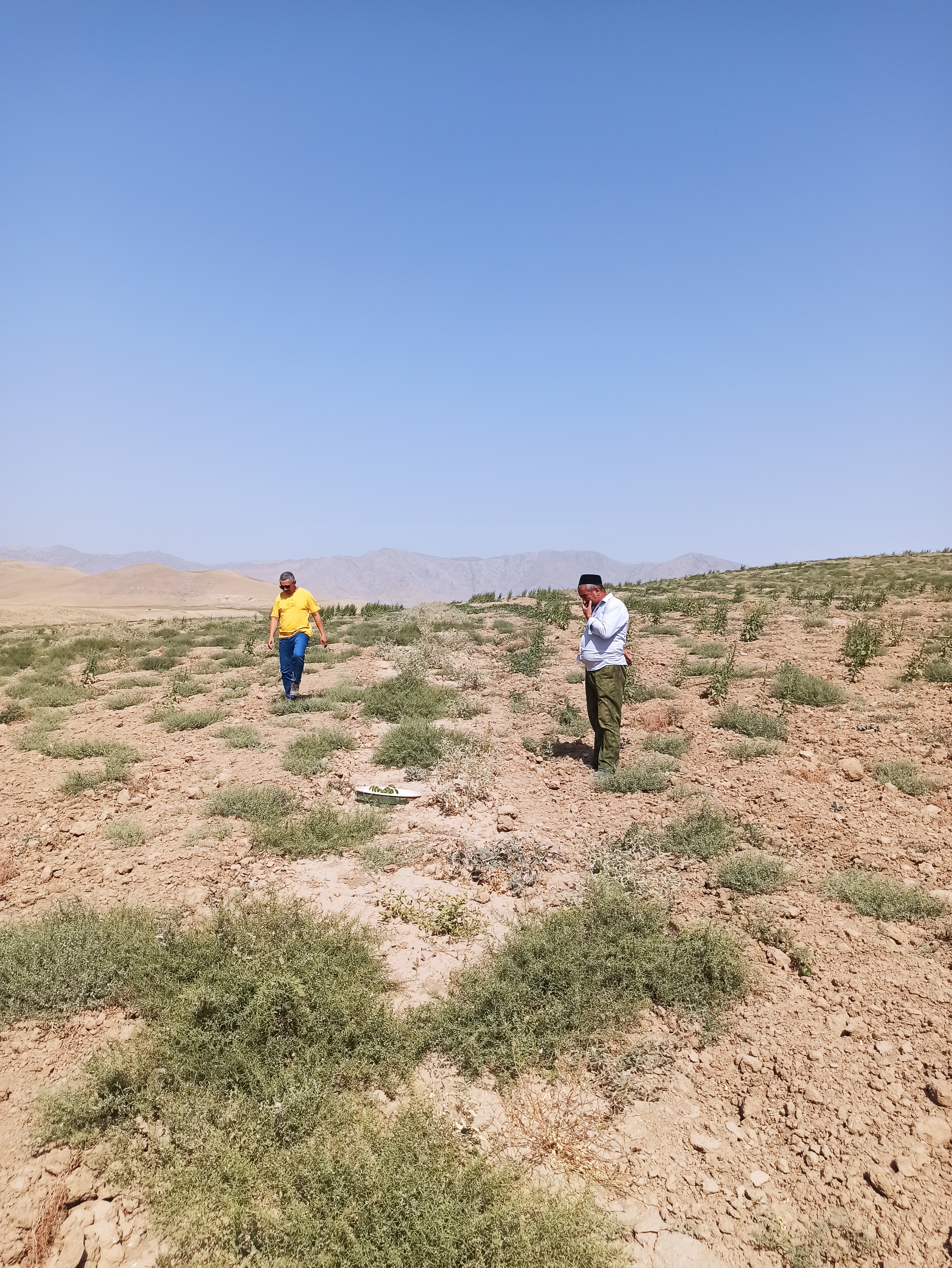 How Waterboxx works – Green Light Deserts LTD